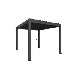 BioHort Pergola Gr. 3 dunkelgrau-metallic 312 x 367,5 cm