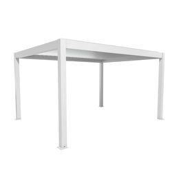 BioHort Pergola wei&szlig;/silberfarben 4,5 x 3,5 m