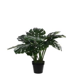 Mica Decorations Kunstpflanze Monstera 60 x 80 cm