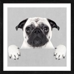 Pro Art Pro-Art Kunstdruck Framed-Art Slim Scandic 'Funny Dog II' 33 x 33 cm gerahmt