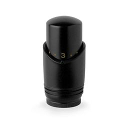 Thermostatf&uuml;hler M30 x 1,5 schwarz matt 1/2 Zoll