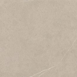 Bodenfliese 'Hardy' Feinsteinzeug beige-braun 60 x 60 cm