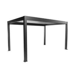 BioHort Pergola dunkelgrau metallic/silberfarben 4,5 x 3 m