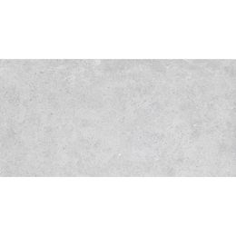 Bodenfliese 'Sandstone' Steinzeug hellgrau 30 x 60 cm