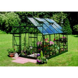 HALLS Gew&auml;chshaus 'Magnum 108' 257 x 322 cm mit 3 mm Sicherheitsglas gr&uuml;n