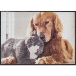toom Schmutzfangmatte 'Hund & Katze' braun 50 x 70 cm