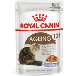 Royal Canin Katzennassfutter 'Senior Ageing 12+' mit Gelee 85 g