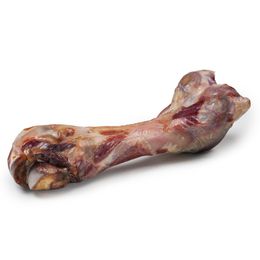 DIBO Schinkenknochen 1 St&uuml;ck