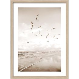 Pro Art Pro-Art Kunstdruck Framed-Art Scandic Style 'Seagulls II' 53 x 73 cm gerahmt