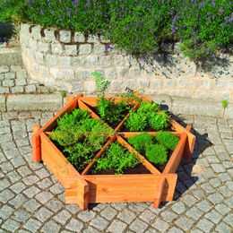 Promadino Hochbeet 'Julia' honigbraun 122 x 27 x 111 cm