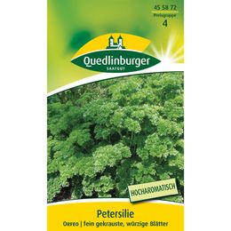Quedlinburger Petersilie 'Orfeo'