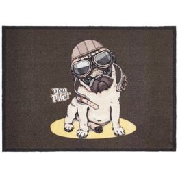 toom Sauberlaufmatte 'Dog Pilot' mehrfarbig 39 x 58 cm