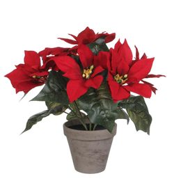 Mica Decorations Weihnachtsstern Kunstpflanze im Topf rot 30 x 33 cm