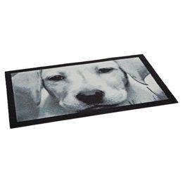 toom Sauberlaufmatte 'Hund' 58 x 39 cm Hund