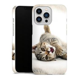 DeinDesign iPhone 13 Pro Handy Premium Case Smartphone Handyh&uuml;lle Schutzh&uuml;lle matt Cat Pet Animals Premium Case