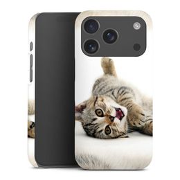 DeinDesign iPhone 17 Pro Handy Premium Case Smartphone Handyh&uuml;lle Schutzh&uuml;lle matt Cat Pet Animals Premium Case