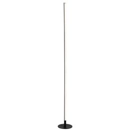toom LED-Stehlampe 'Jette' dimmbar 12 W 1200 lm warmwei&szlig; 124 cm