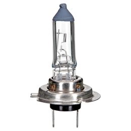Unitec Halogenlampe 'Vision' H7 55 W 2 St&uuml;ck