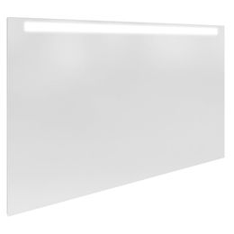 Fackelmann LED-Spiegel 'Brillant Light' aluminiumfarben 110 x 68 x 2,4 cm