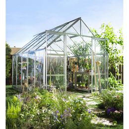 HALLS Gew&auml;chshaus 'Magnum 108' 257 x 322 cm mit 3 mm Sicherheitsglas aluminiumfarben