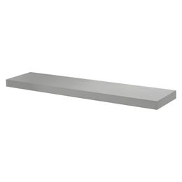Dolle Wandregal 'Big Boy' silber 115 x 25 x 5 cm