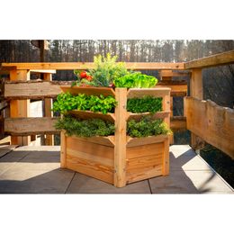 WESTMANN Hochbeet 'Premium' XL L&auml;rchenholz naturfarben 66 x 73 x 91 cm