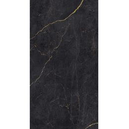 Breuer R&uuml;ckwand 'Schwarz-Gold' seidenmatt 150 x 255 cm