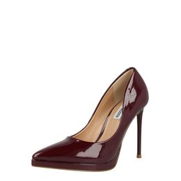 Steve Madden Pumps 'KLASSY' female size 37 Bordeaux