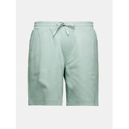 CHASIN' Chasin' Shorts 'Stavo.S Scuba' Herren Gr&ouml;&szlig;e 33 hellgr&uuml;n