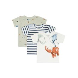 HUST & CLAIRE Hust & Claire Shirt 'Hust & Claire Albert 3-Pack Holliday' Jungen Gr&ouml;&szlig;e 68 bunt