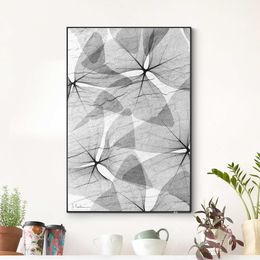 Bilderwelten Wechselbild X-Ray - Dreiecksklee mit Textil