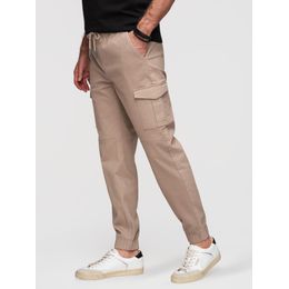 Ombre Chino Pants male size 34 Beige