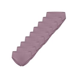 Schiesser Slip 'Essentials Cotton' Damen Gr&ouml;&szlig;e XL lila