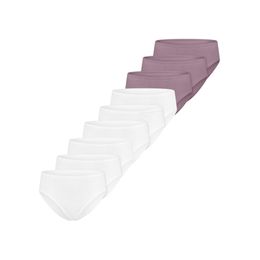 Schiesser Panty 'Essentials Cotton' female size XL violet