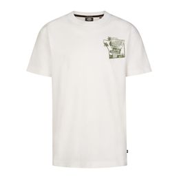 PETROL INDUSTRIES T-Shirt 'Mezcal' Jungen Gr&ouml;&szlig;e 116 gr&uuml;nmeliert / offwhite
