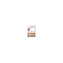 Toshiba interne HDD-Festplatte &raquo;N300&laquo; 10 TB beige