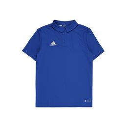adidas Performance Performance Shirt 'Entrada 22' boy size 152 Royal blue / White