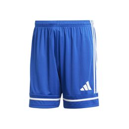 adidas Performance Sportshorts 'Squa25' Herren Gr&ouml;&szlig;e M royalblau / wei&szlig;