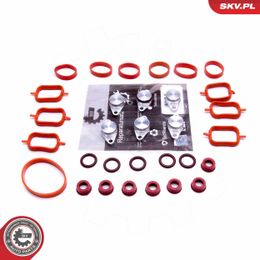 ESEN SKV Reparatursatz, Saugrohrmodul 49SKV565