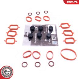 ESEN SKV Reparatursatz, Saugrohrmodul 49SKV567