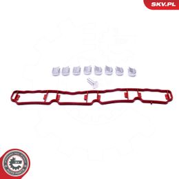 ESEN SKV Reparatursatz, Saugrohrmodul 49SKV510 f&uuml;r VAG