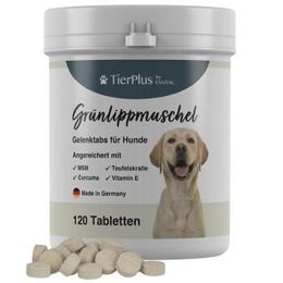 TierPlus &reg; Gr&uuml;nlippmuschel Gelenktabs