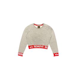 Alpha Industries Sweatshirt 'RBF' female size S mottled grey