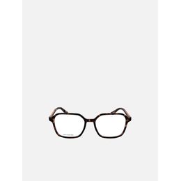 Polaroid Sonnenbrille 'Polaroid PLD D469 Havana 53/17/145 WOMAN Eyewear Frame' Damen Gr&ouml;&szlig;e 53 braun