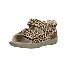 Pepino Sandals girl size 24 Ivory / Cognac / Dark brown / Black