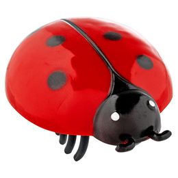 Karlie Katzenspielzeug "Crazy Bug" 5 x 4 x 2 cm