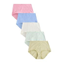 next Panty Damen Gr&ouml;&szlig;e 8XL ecru / hellblau / mint / hellgr&uuml;n / altrosa