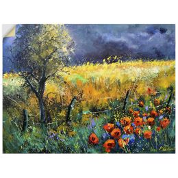 Wandbild Artland, B:60cm H:45cm T:0,1cm, bunt, Vinyl, Wohnzimmer, Bilder, "Red poppies", als Alubild, Leinwandbild, Poster, Wandaufkleber in