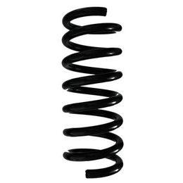 SPIDAN Fahrwerksfeder 88310 Hinterachse f&uuml;r Ford