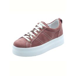 Nero Giardini Schn&uuml;rschuh 'Nero Giardini Sneakers Donna E615310D Velour Rosa-Antico pelle rosa' Damen Gr&ouml;&szlig;e 37 rosa Sommerschuhe